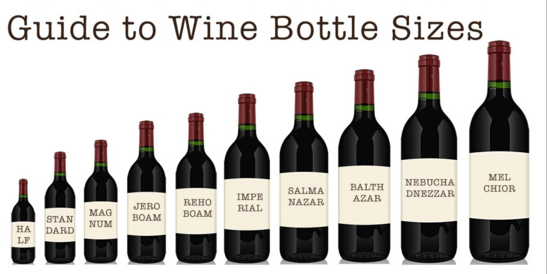 Wine Bottle Sizes | Choosing the Perfect Bottle for Your Needs